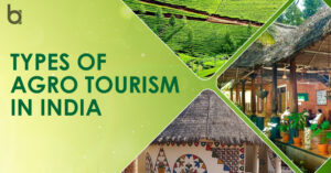 Agro Tourism: The Rising Sustainable Industry of India