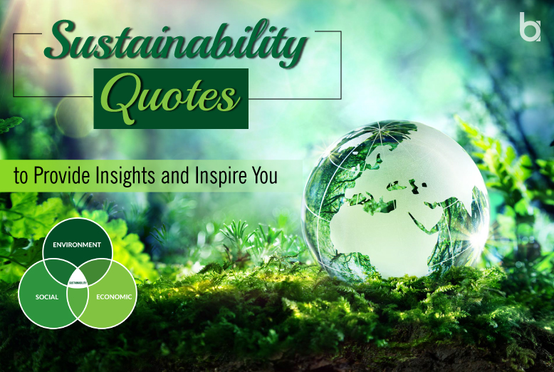Sustainability Quotes: To Improve and Value Quality of Life