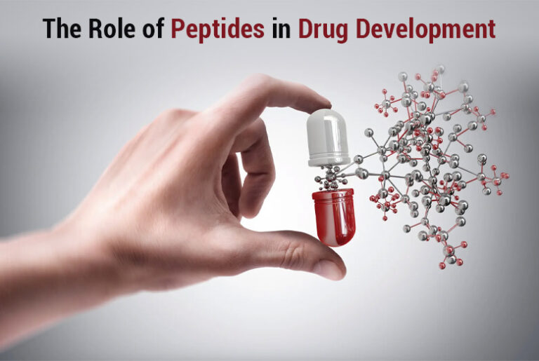 The Role of Peptides in Drug Development